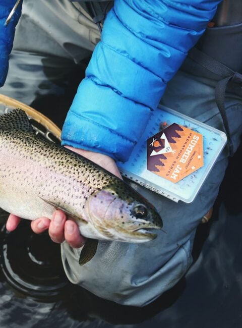Tallriksmodellen: En Enkel och Balanserad Väg till Hälsosam Mat ...