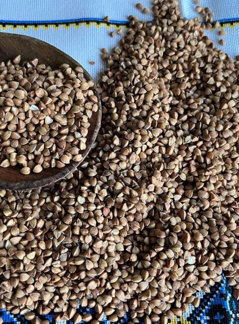 Tallriksmodellen: En Enkel och Balanserad Väg till Hälsosam Mat ...