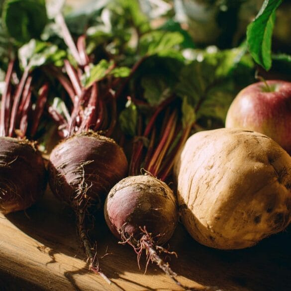 Tallriksmodellen: En Enkel och Balanserad Väg till Hälsosam Mat ...