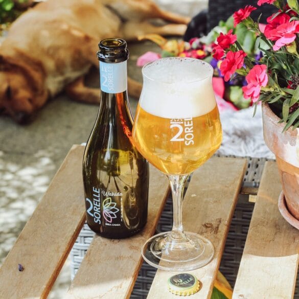 Tallriksmodellen: En Enkel och Balanserad Väg till Hälsosam Mat ...